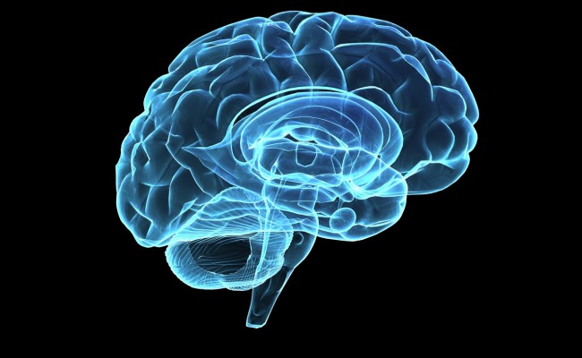 Neuroselling: Taktik Jualan ke Tiga Otak – DARMAWAN AJI